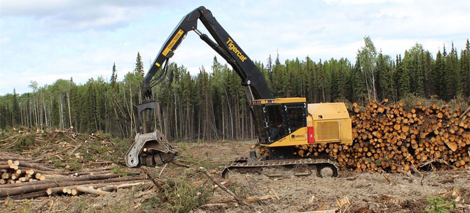 POULIOT Forestry Services, experts in selective harvesting ...
